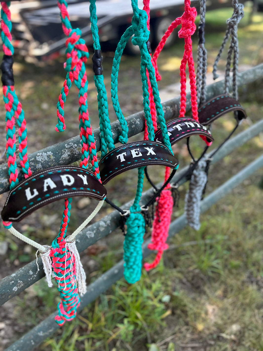 Halters – Wicked E Leather Co.